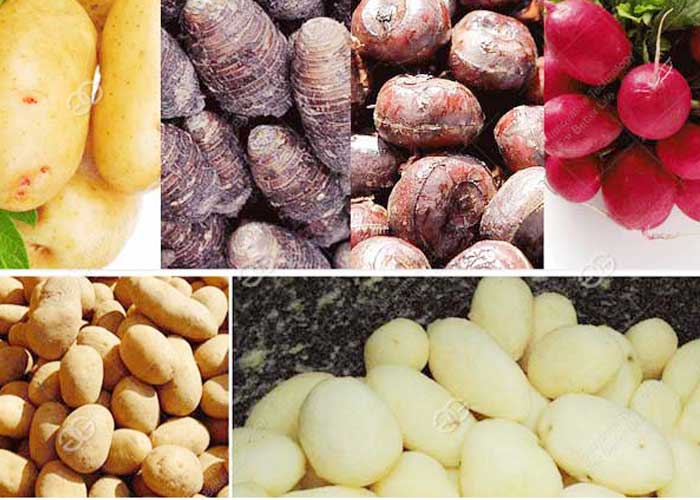cassava waqshing and peeling machine 