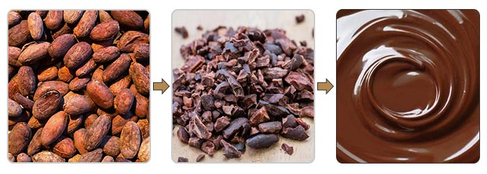 Cacao Bean Processing Equipment Price