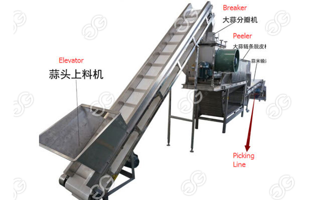 ライン乾燥したニンニクの皮機械を分け、皮をむくCommericalのニンニク