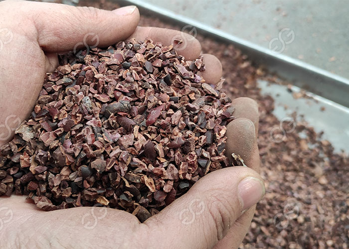 Cacau industrial Bean Cracker Machine