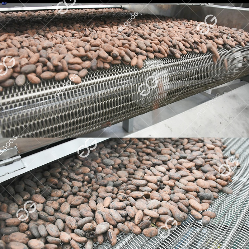 Mesh Belt Cocoa Bean Roasting-Machine