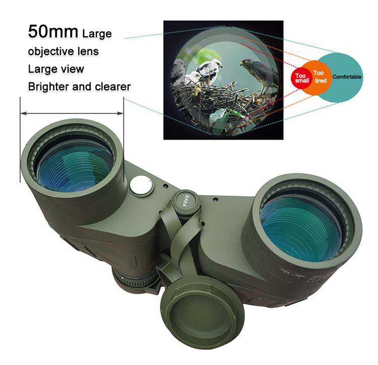 dgwe4d4.jpg