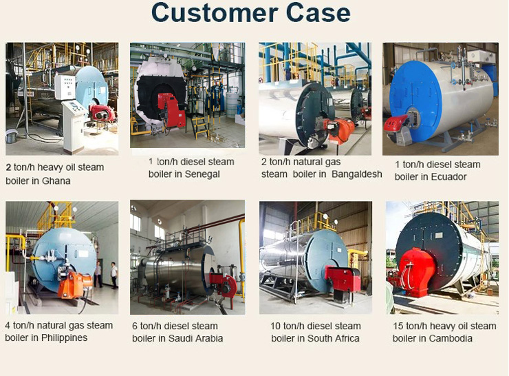 China cargada rápida de la caldera de gas de la calefacción de vapor del gas 6t/h para la industria