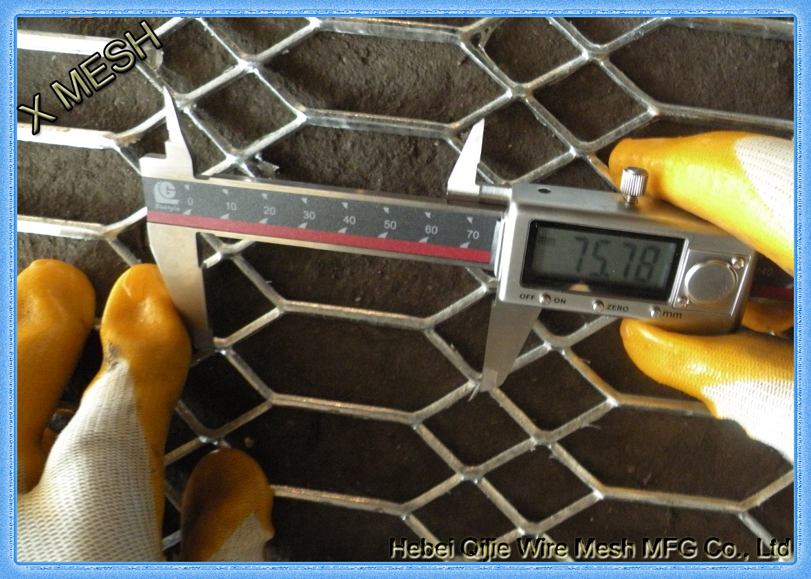 Erweitertes gotisches Metall Mesh-E0001