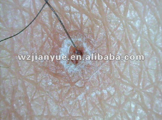 FILE1747_CHK.jpg