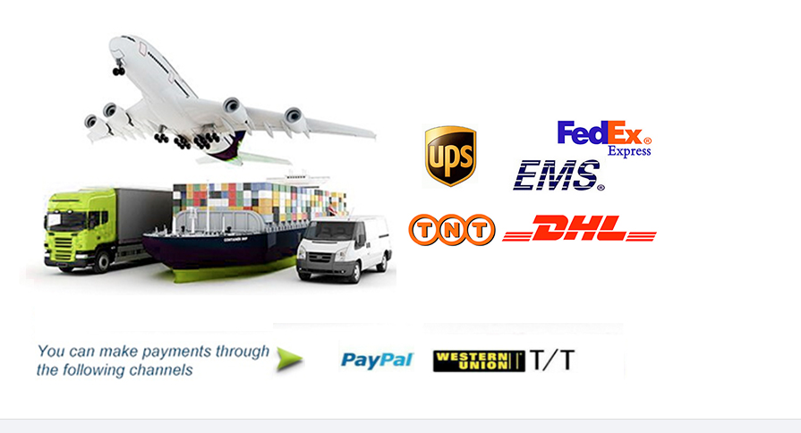 Sans fil IP68 rechargeable a mené la lumière de extraction avec l'écran d'OLED avec 18000lux 7