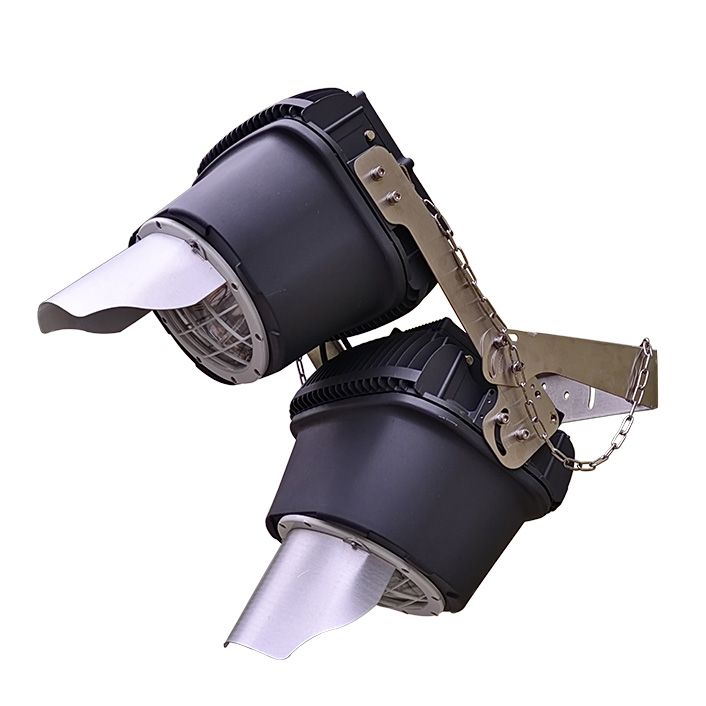 Tipo dell'elemento delle luci di inondazione e proiettore di sorgente luminosa 1000W del LED per il campo sportivo