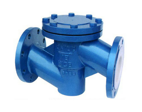 Fluorine check valve H41F46-16C