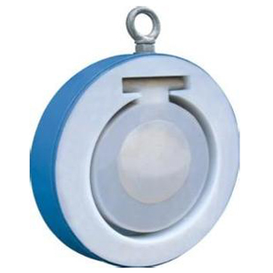 Fluorine check valve H74F46-16C