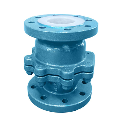 Fluorine check valve H42F46-16C