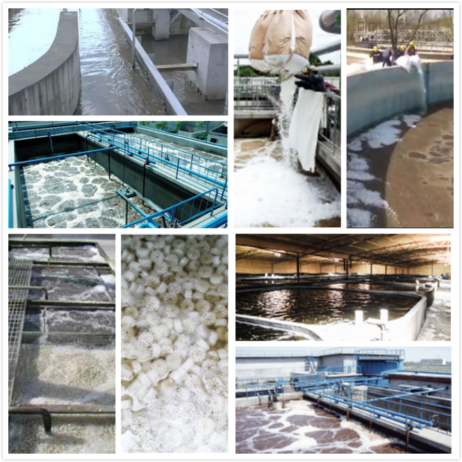 MBBR sewage treatment plant with mbbr technology small biological filter suspension plastic bio media in india