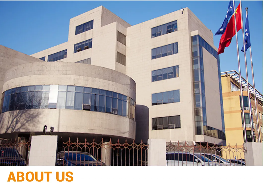 Ai Computing System with Total Liquid Cooling Rd-1110-G190kr49A