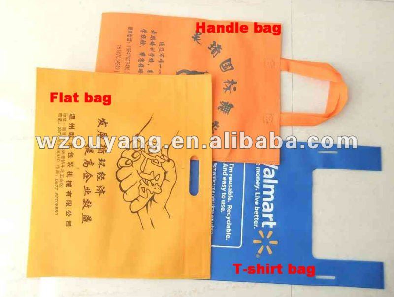 Bolso 01 de la muestra