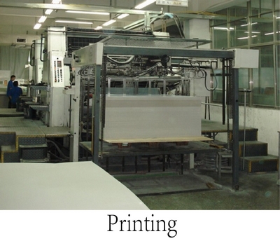 Esposizione su ordinazione del pallet del cartone ondulato con stampa variopinta per annunciare