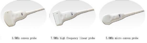 Diagnoseultraschall-Ausrüstungs-Veterinärultraschall-Scanner mit OB-Software für Tiere und den 100 Bild-Speicher