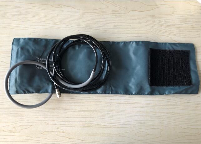 12,1 Duim - LCD van de hoge Resolutiekleur Geduldige Monitor met 6 Standaardparameters ECG, RESP, NIBP, SPO2, 2-TEMPERATUREN, PR/HR