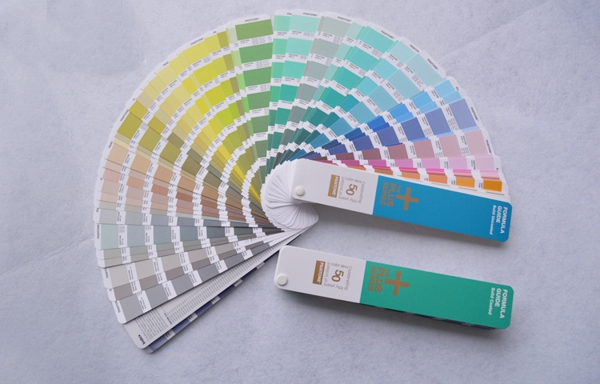 Revestido contínuo & sólido do GUIA da FÓRMULA sem revestimento