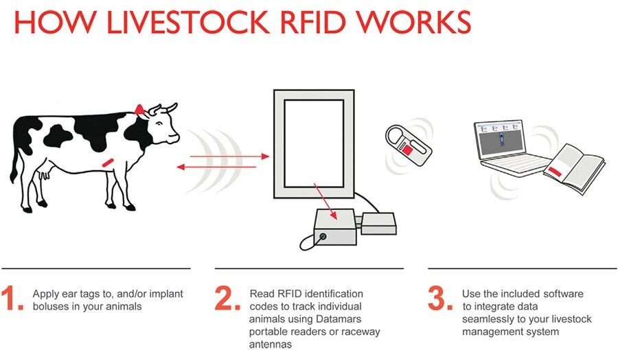 Etichette passive di frequenza ultraelevata RFID del bestiame, marchi auricolari animali 865MHz ~ 867MHz di RFID