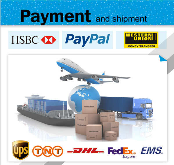 支払および Shipping.jpg