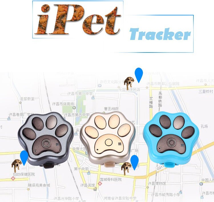 O perseguidor móvel o menor do número dos gps do mundo com o mapa de Google do telefone que segue o dispositivo para animais de estimação