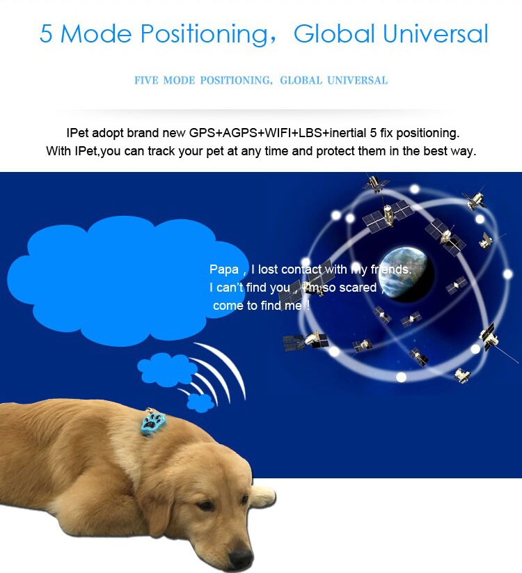 O perseguidor móvel o menor do número dos gps do mundo com o mapa de Google do telefone que segue o dispositivo para animais de estimação