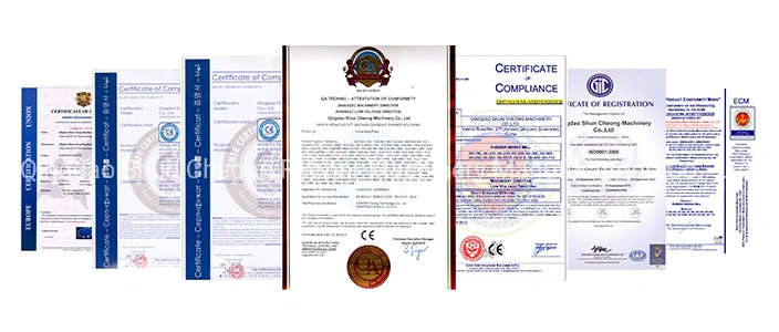 Macchina di gomma di vulcanizzazione del piatto