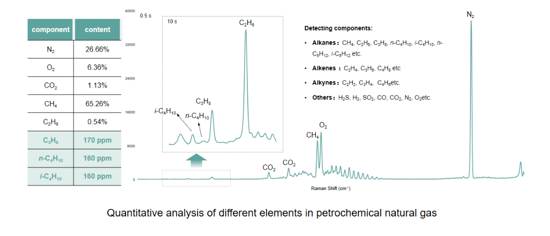 RS2600PAT Online Raman Spectroscopy Analyzer For Analysis Of Multiple Components In Reaction Gases Industrial Explosion-proof Design 1