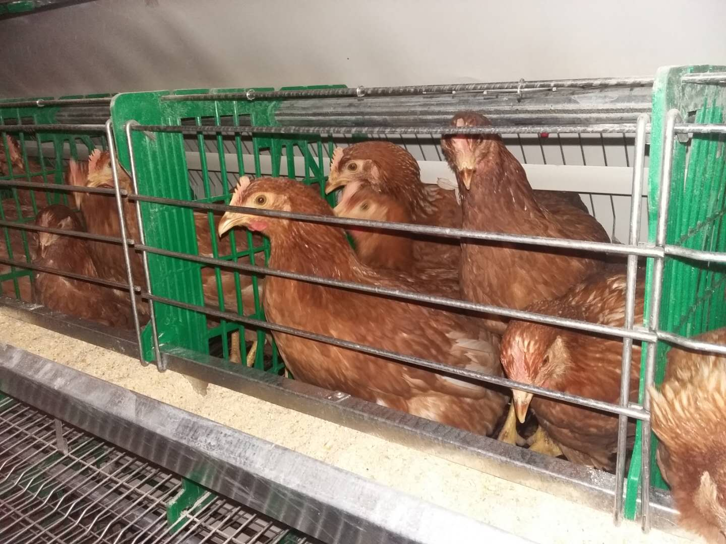 Verwendung dieser Zufuhr