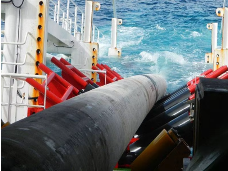 Pipeline reinforced mesh in subsea application
