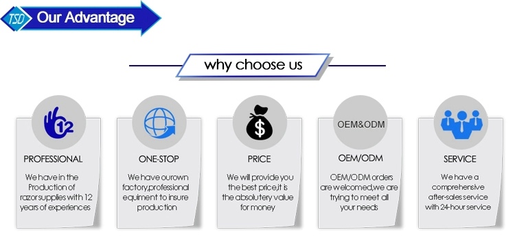 Our professional service team