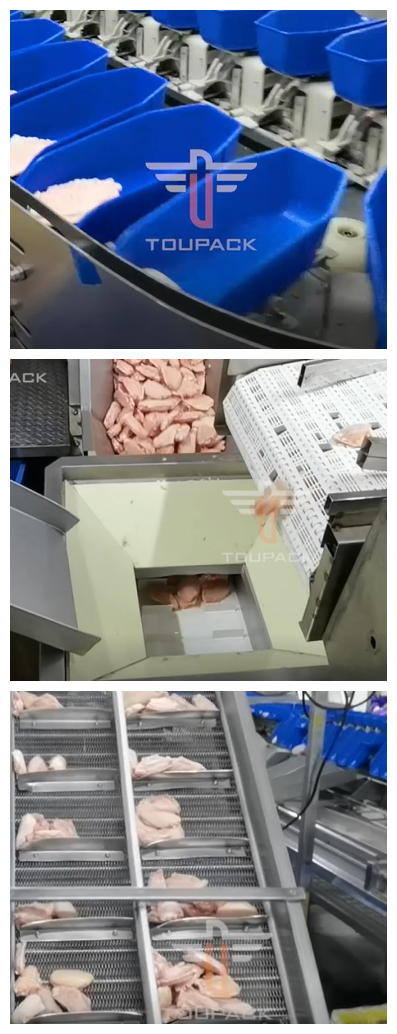 300g 300pcs/Min Frozen Food Packing Machine in operation