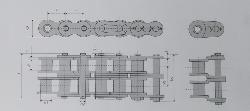 Il rullo duplex (ss) incatena 12BSS