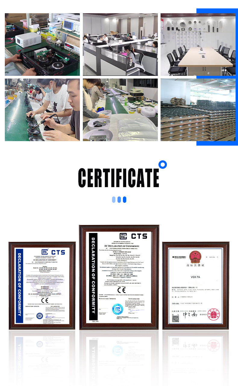 MP3 300W IP Amplifier internal components