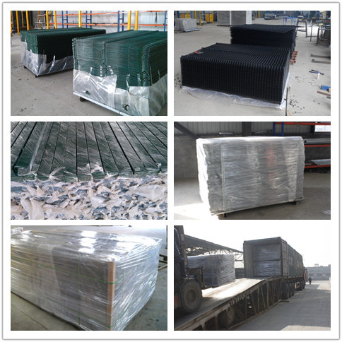 싼 용접한 철망사는 담/높은 보안 담 패널/정원 담 철사 검술을 구부렸습니다