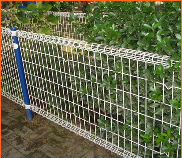 Dubbele Lijnen Decoratieve Omheining voor tuin