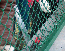 pvc chain link fence