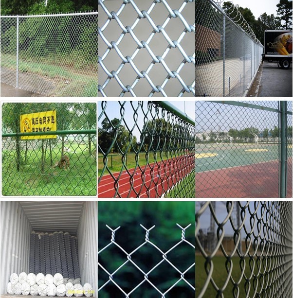 rifornimento della fabbrica galvanizzato e recinto rivestito del ciclone del recinto del collegamento a catena di frontiera di golf del PVC