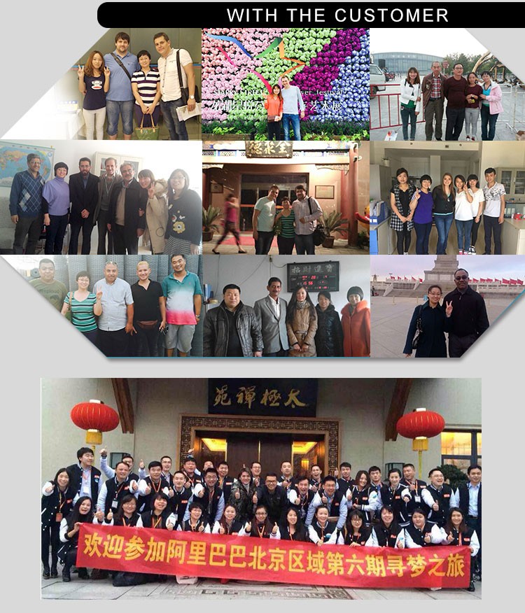 white color Hot Dipped Galvanised BRC Welded Wire Mesh Fence / Galvanised BRC Welded Mesh